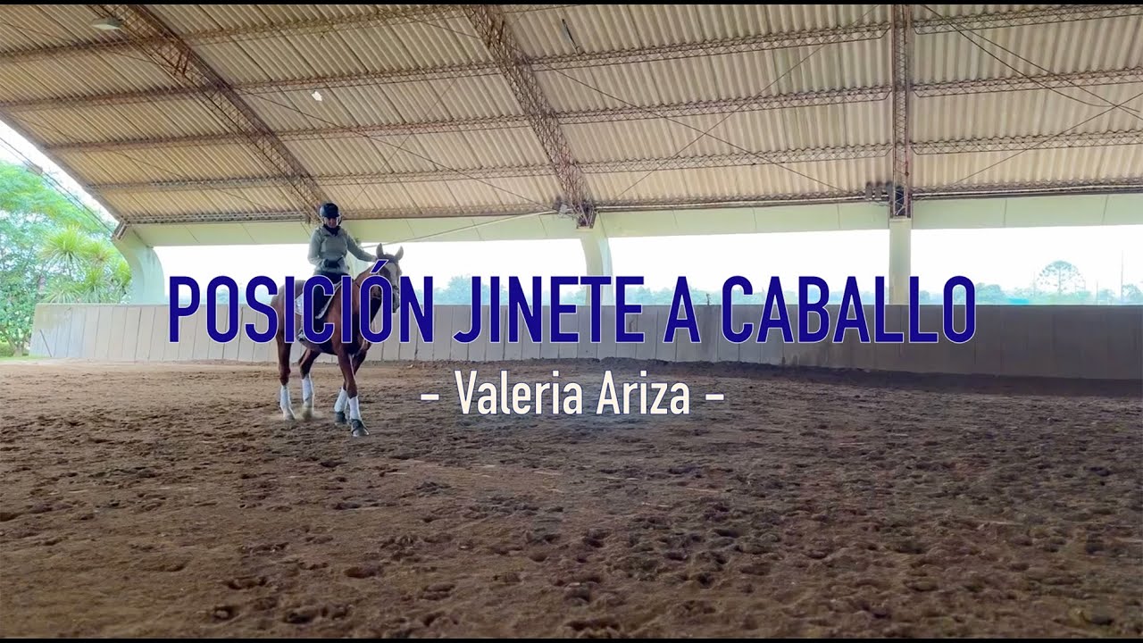 Posición Jinete A Caballo Guía Completa Youtube