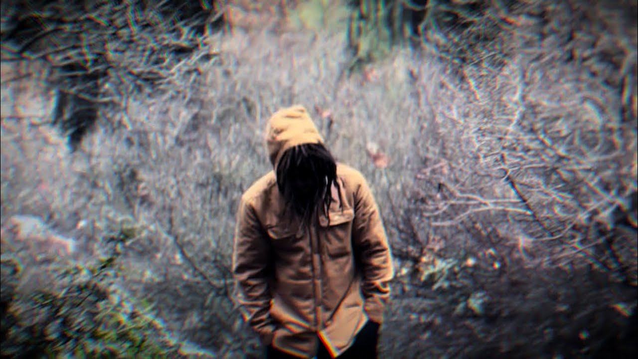 Security Cams Youtube