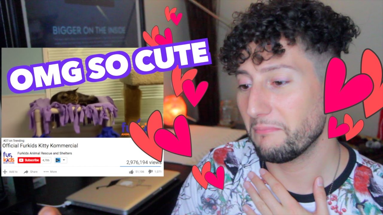 Official Furkids Kitty Kommercial Reaction Youtube