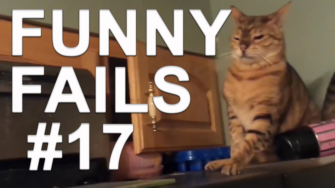 Cats Funny Moments With Sound Effects Compilation Youtube