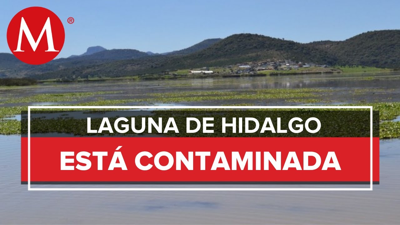 Laguna De Tecocomulco Hidalgo Está Gravemente Contaminada Youtube