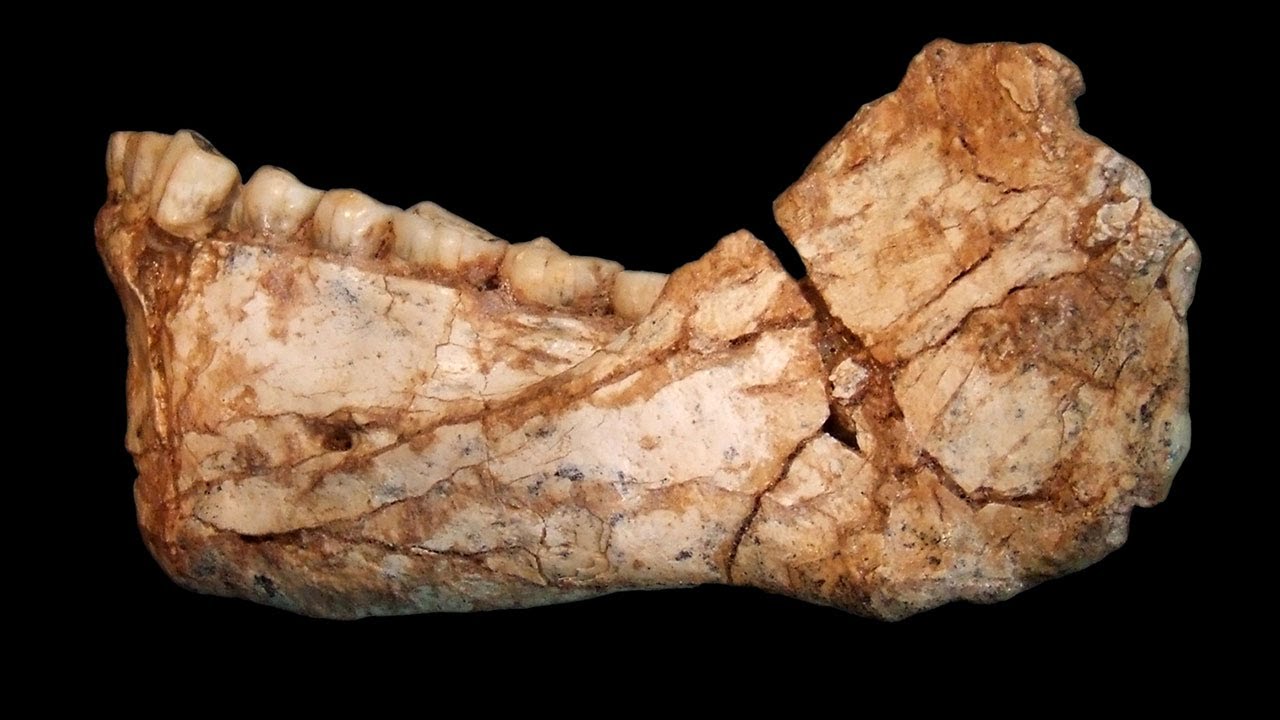 The Oldest Homo Sapiens Fossils At Jebel Irhoud Morocco Youtube