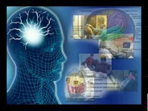 Neurofeedback Youtube