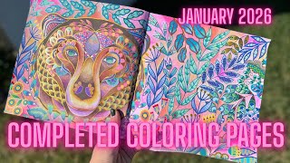Us Completed Coloring Pages From November 2025 Until January 2026 Adult