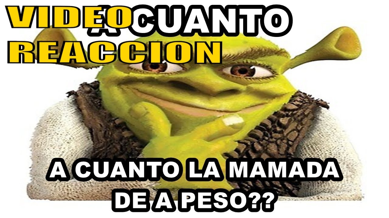 Bastián Reacciona Shitposting Compilation V153 Youtube