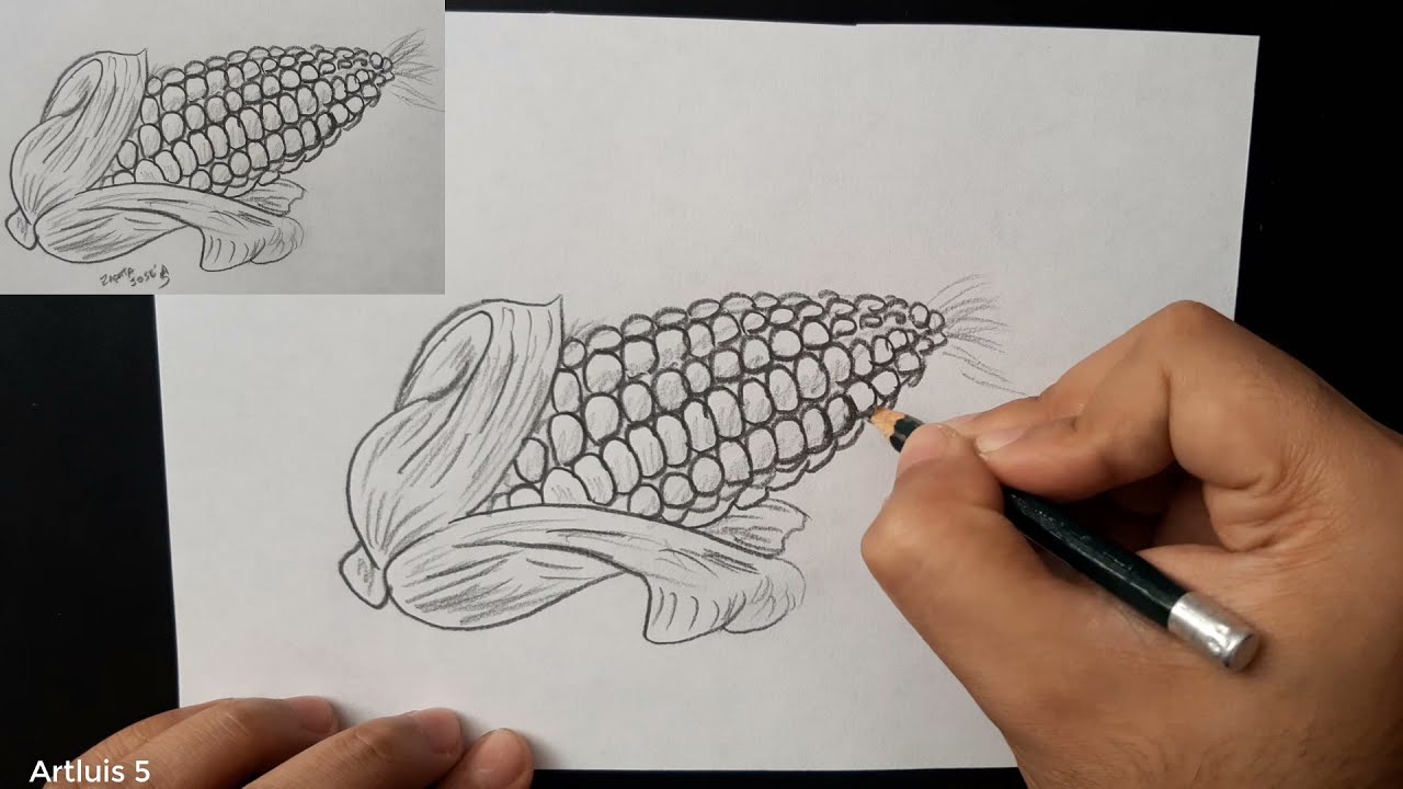 Cómo Dibujar Un Choclo How To Draw A Corn Youtube
