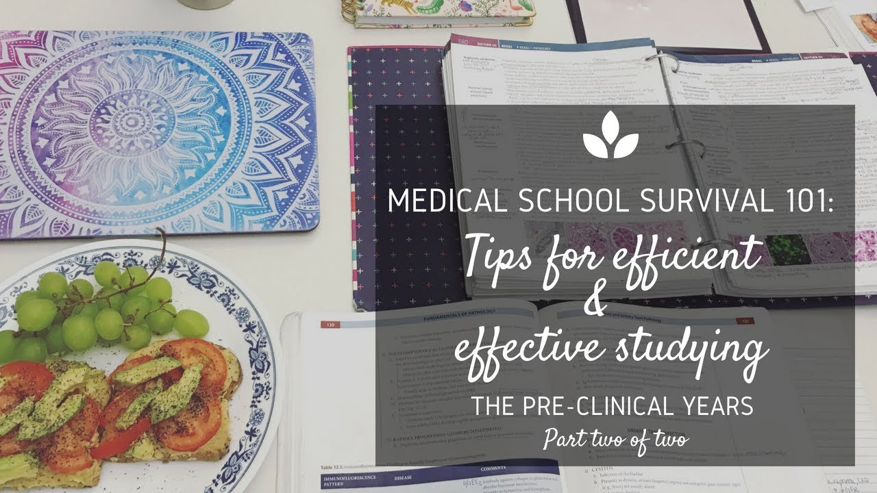Medical School Survival 101 Tips For Efficient And Effective Pre