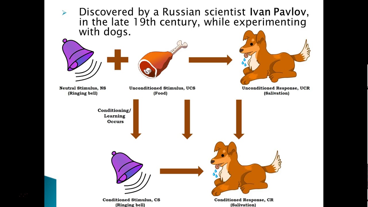Behaviorism Instructional Design