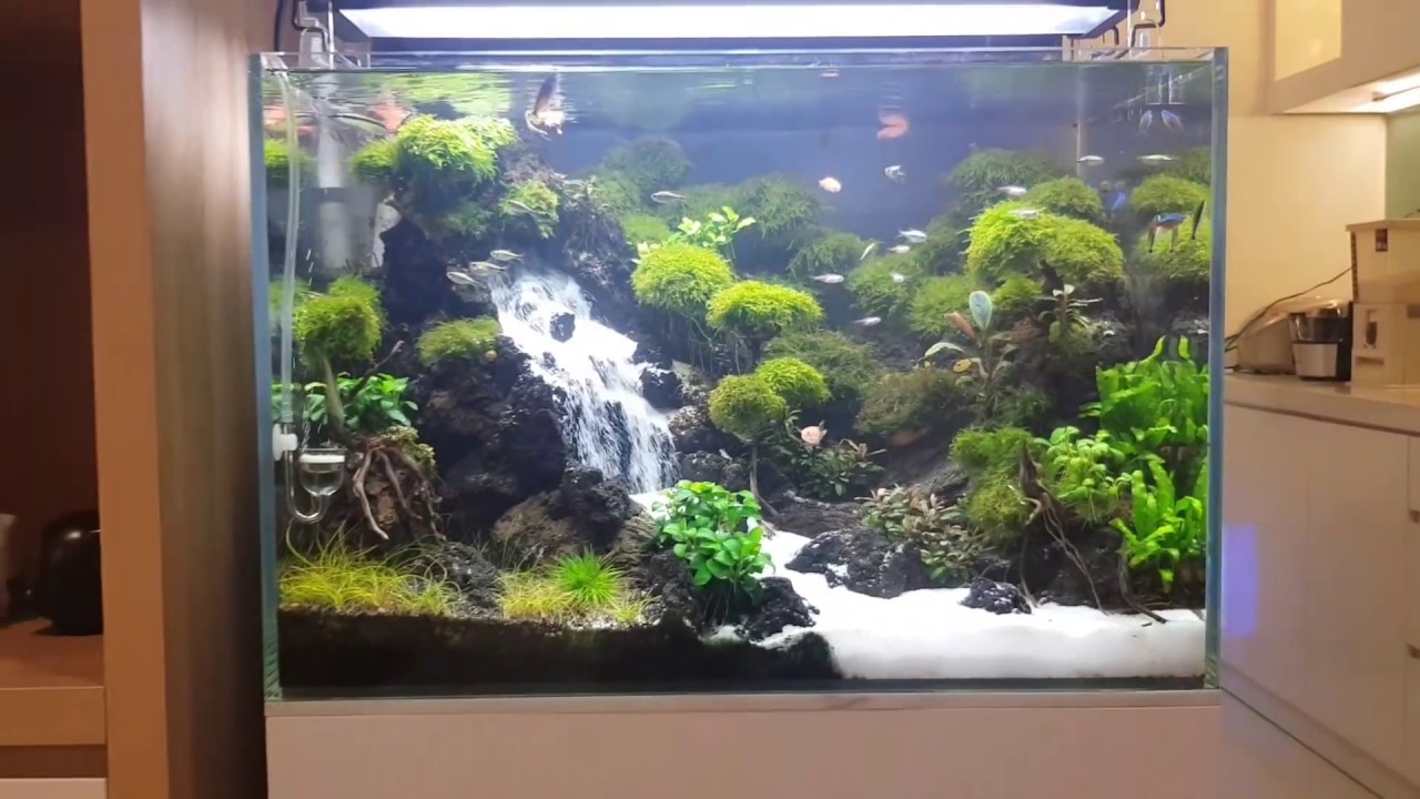 My Waterfall In The Most Beautiful Aquarium 200l Wasserfall Im