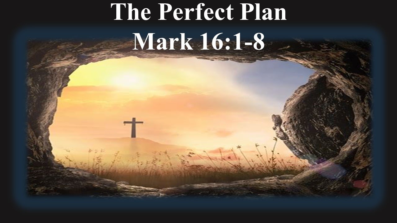 The Perfect Plan Youtube