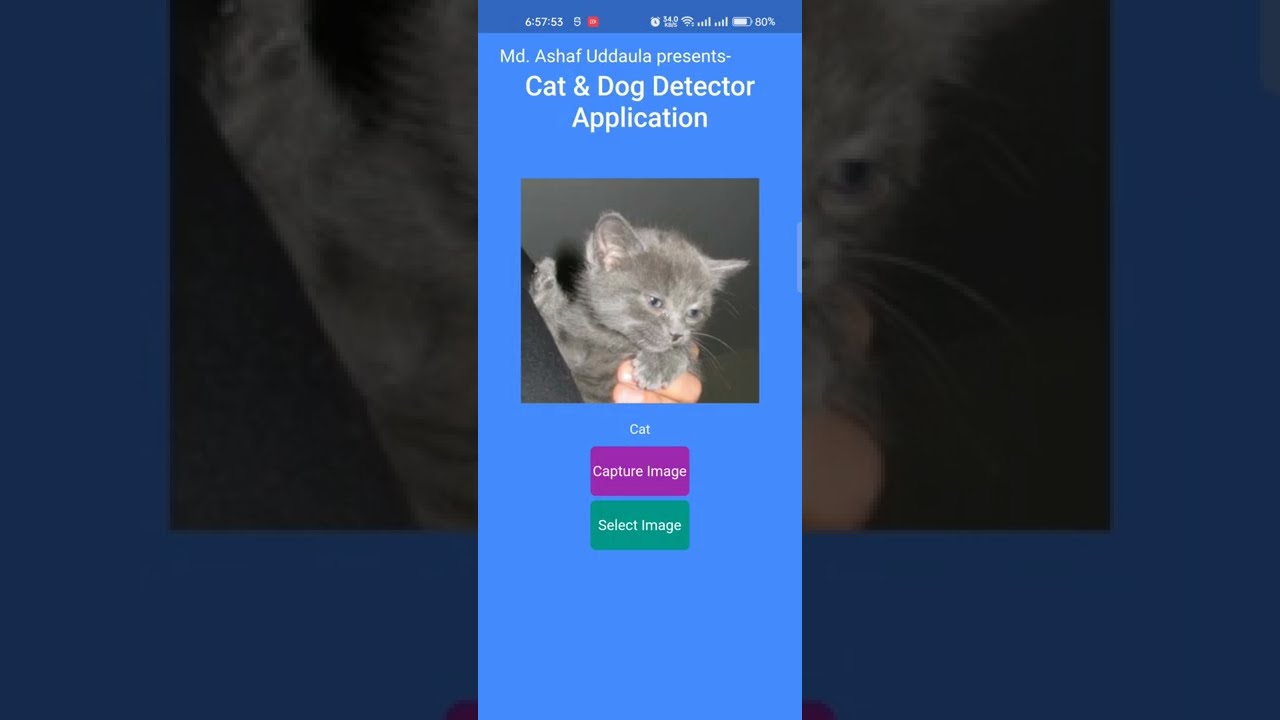 Cat Dog Classifier An Artificial Intelligence Mobile Application