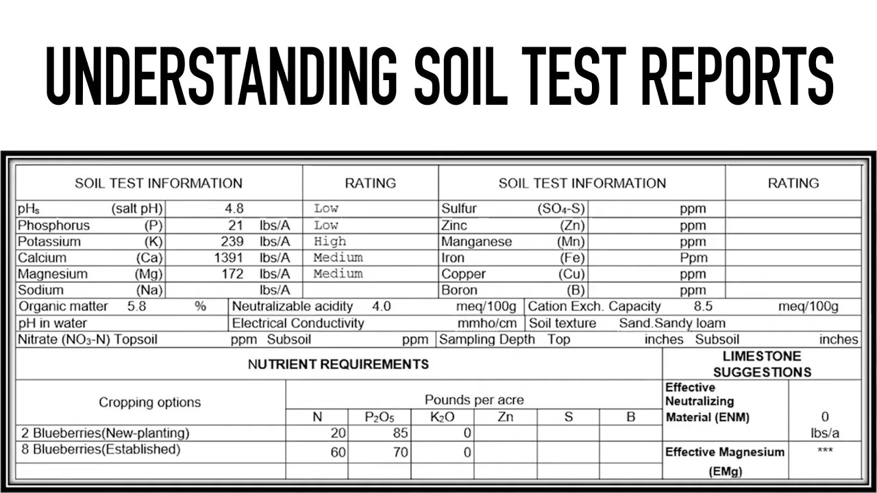 Understanding Soil Test Reports Youtube