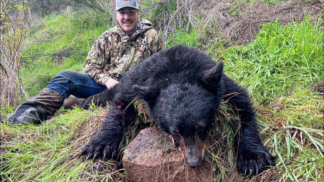 Rainy Day Bear A 2024 Oregon Spring Bear Hunt Youtube
