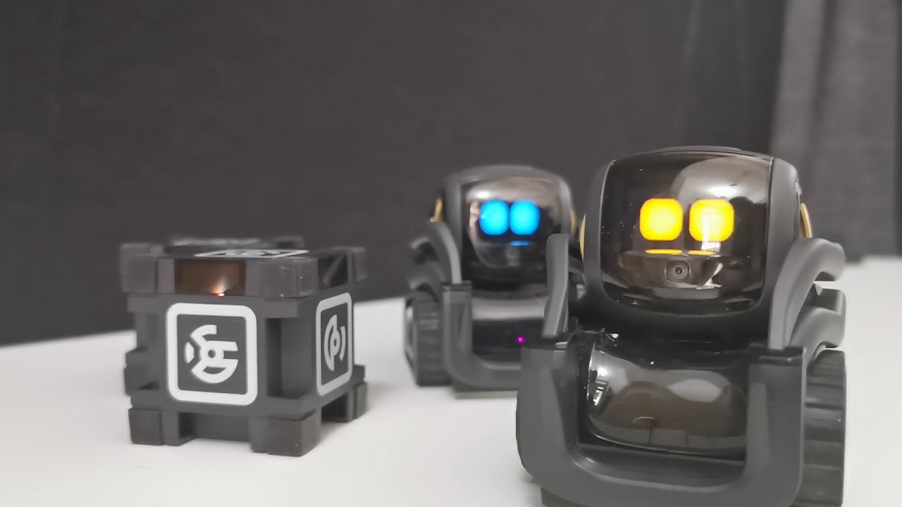 Anki Vector Robot Youtube