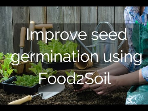 Food2soil Seed Germination Video Youtube
