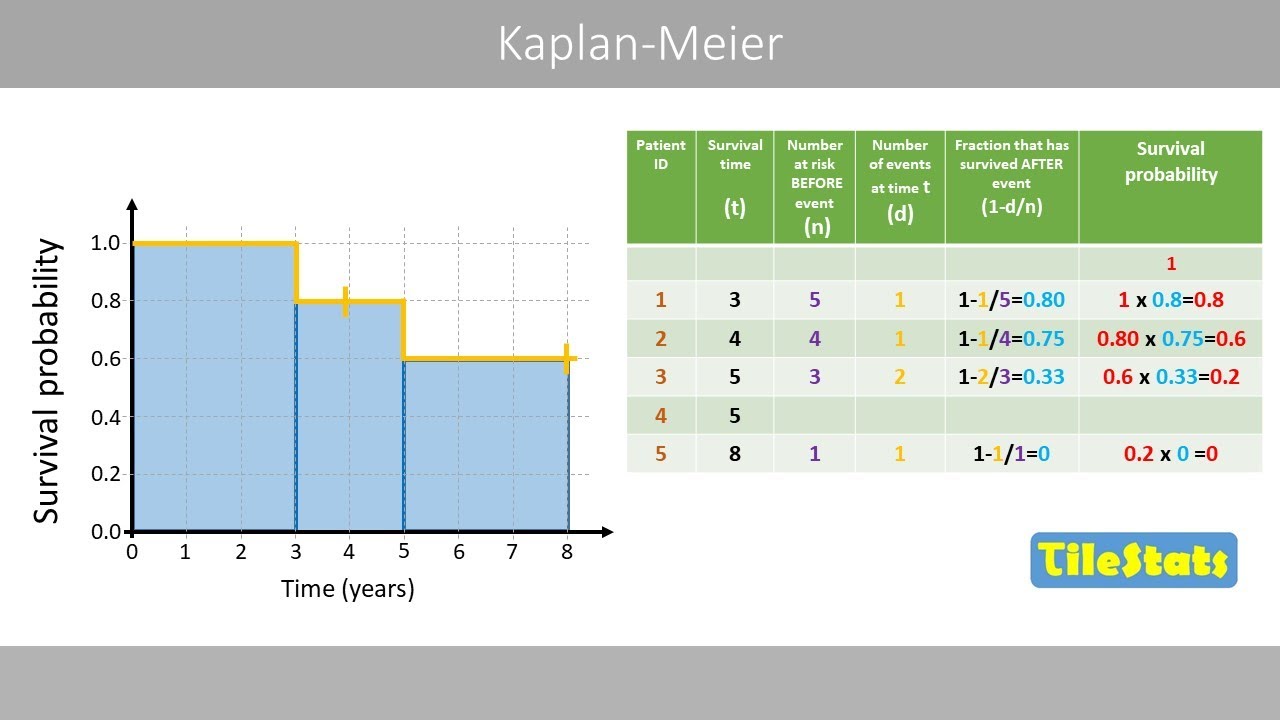 Kaplan Meier Curve Explained Youtube