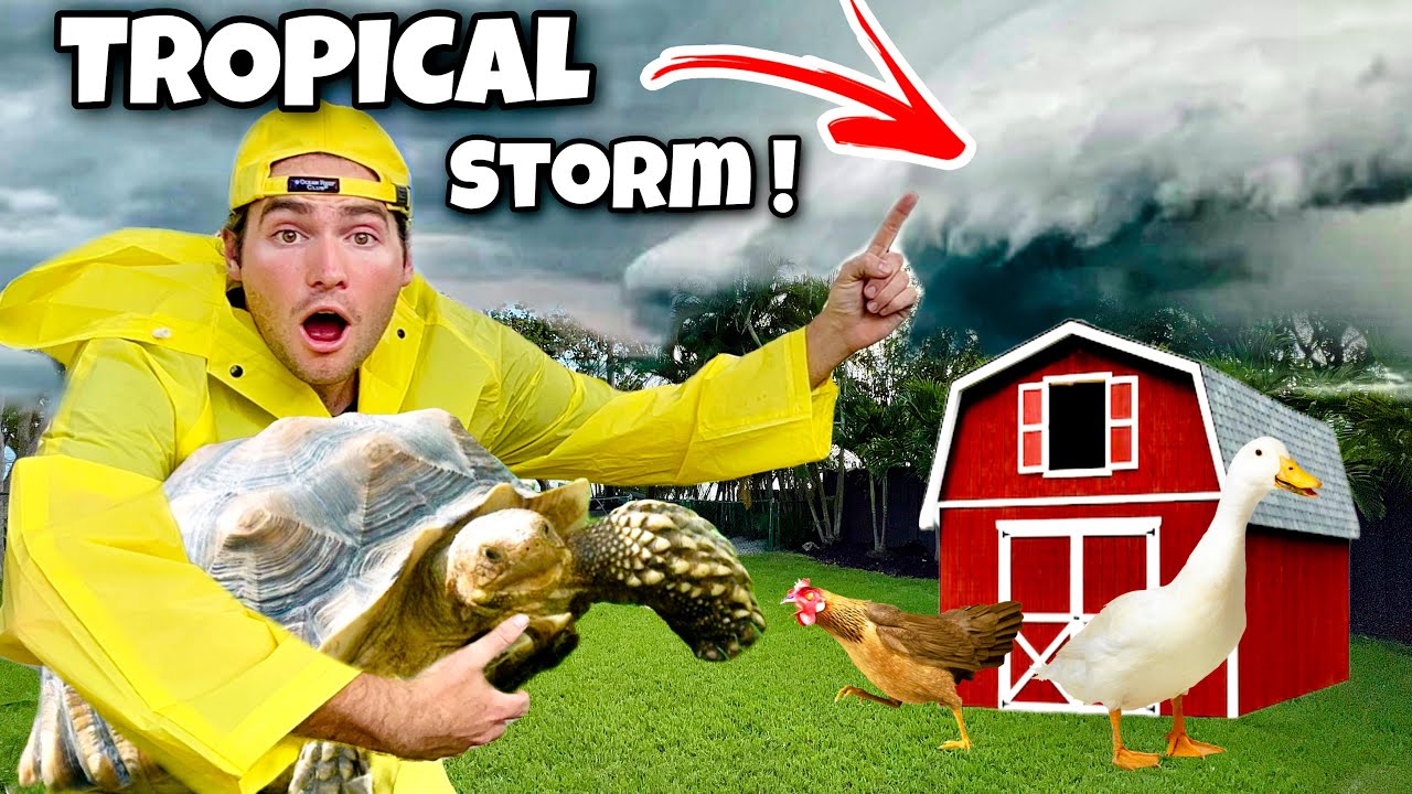 Preparing All Of My Animals For Tropical Storm Hurricane Youtube
