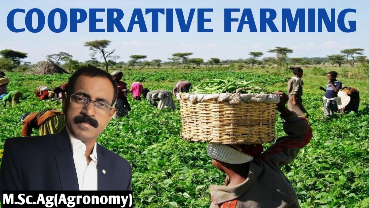 Cooperative Farming