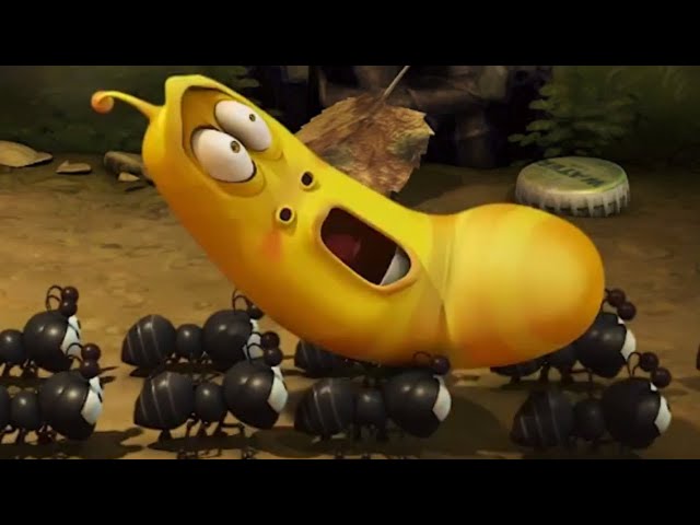 Larva Ant Parade Cartoons For Children Larva 2018 Larva