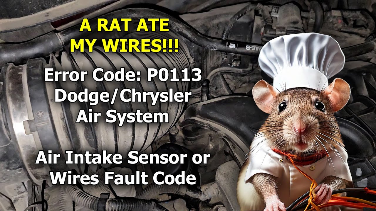 How Do I Fix Error Code P0113