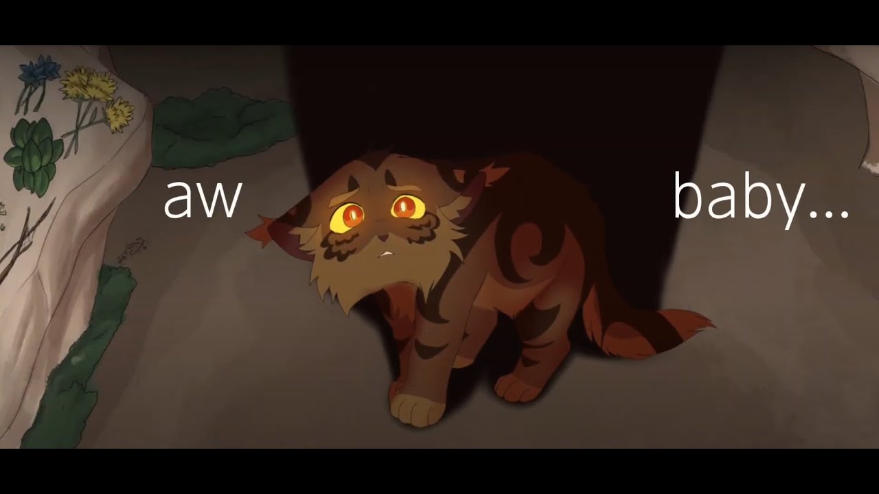 Aw Baby Tigerkit Youtube