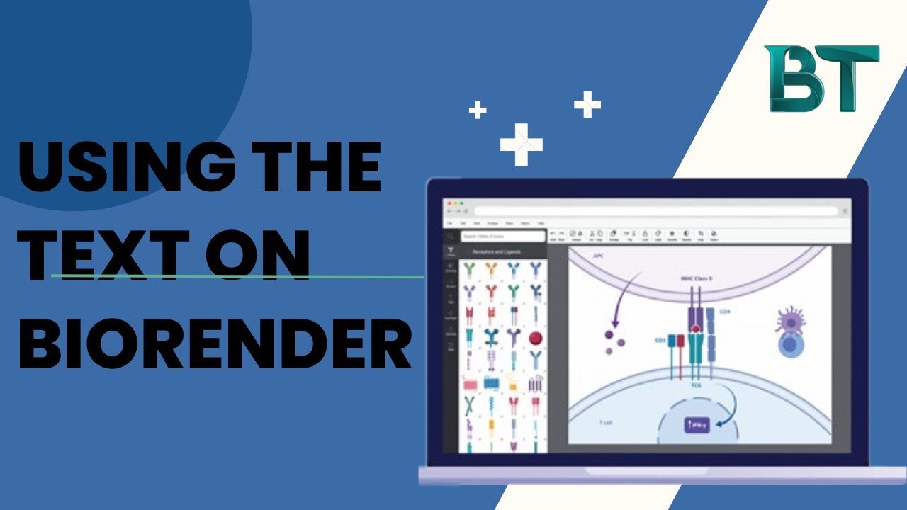 Using The Text On Biorender Biotech Youtube