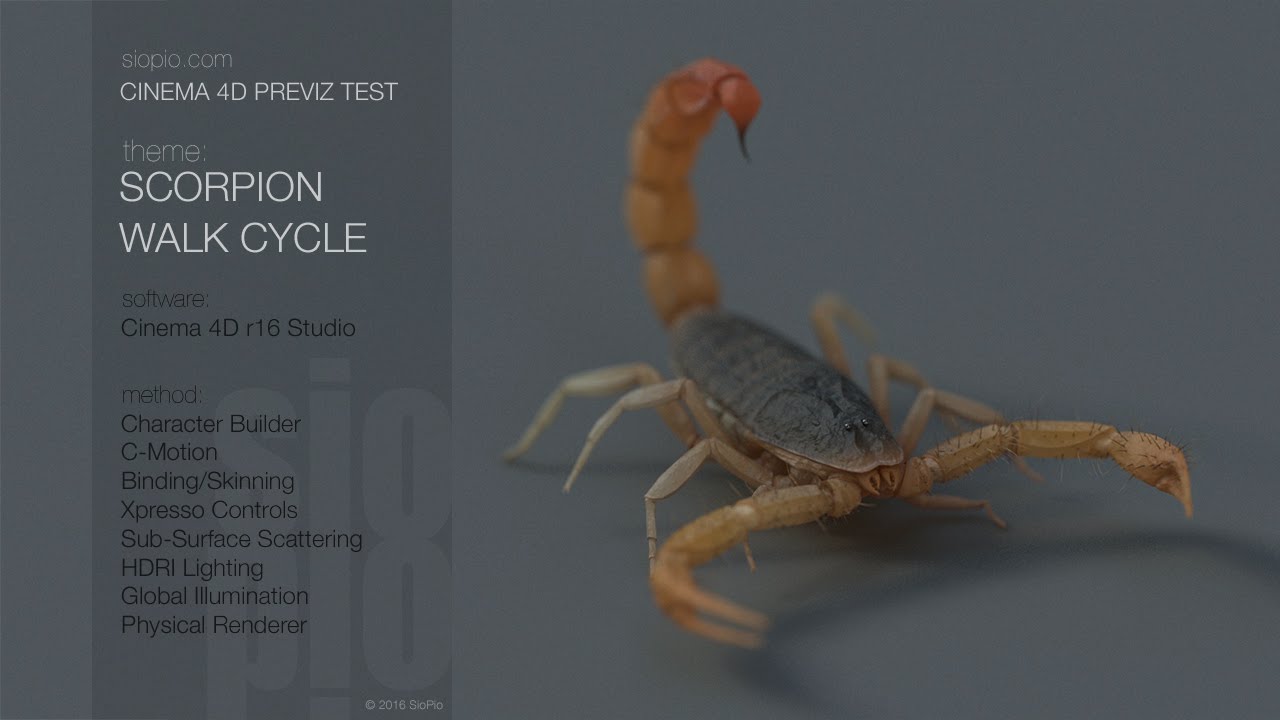 Scorpion Walk Cycle Test Youtube