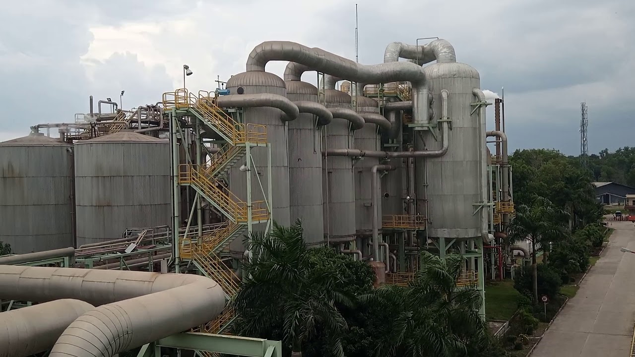 Gaji Di Pt Tanjungenim Lestari Pulp Paper Panduan Lengkap