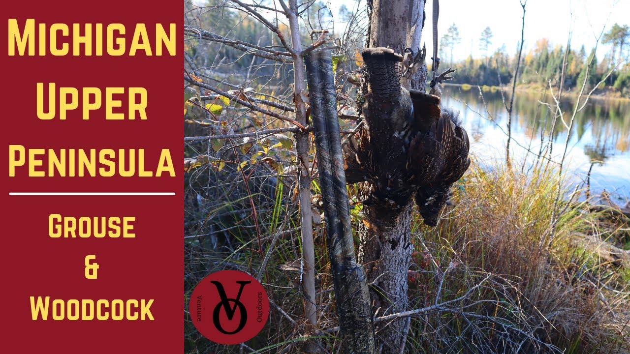 Michigan Upper Peninsula Grouse Woodcock Hunting Youtube