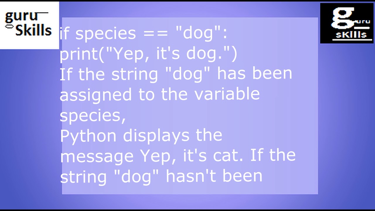 Python Programming Lesson 12 Youtube