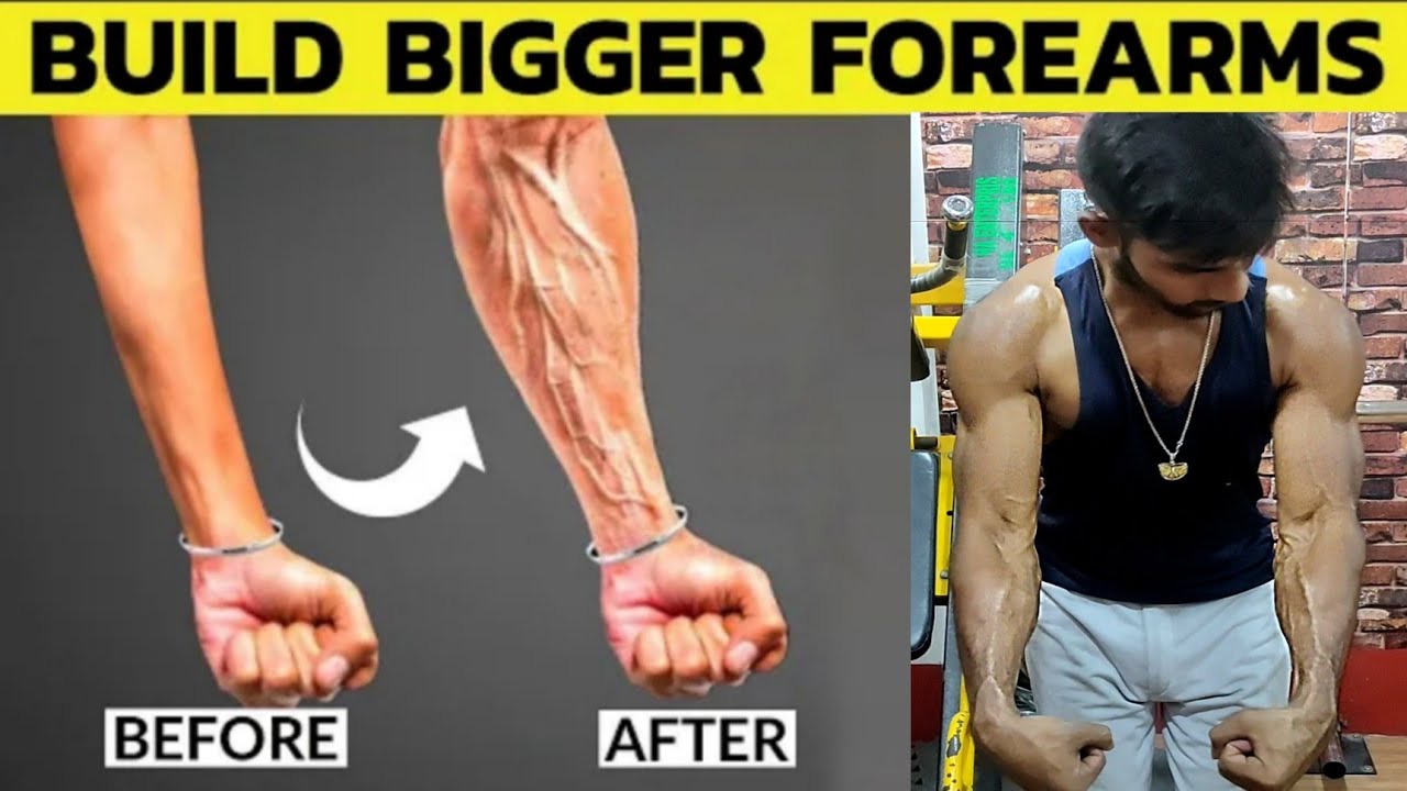 How To Grow Your Forearms Best Exercises Youtube