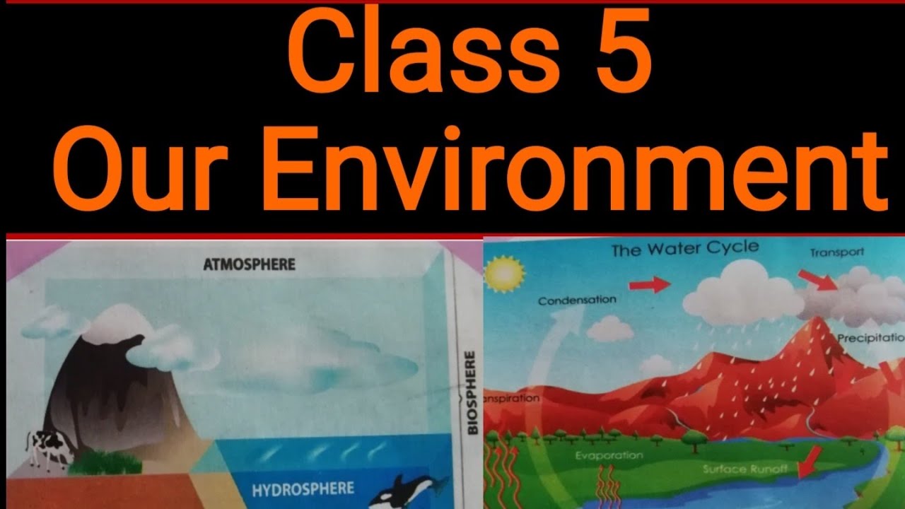 Class 5 Our Environment Youtube