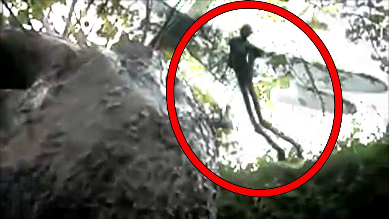 Scary Mysterious Creatures Caught On Camera Youtube