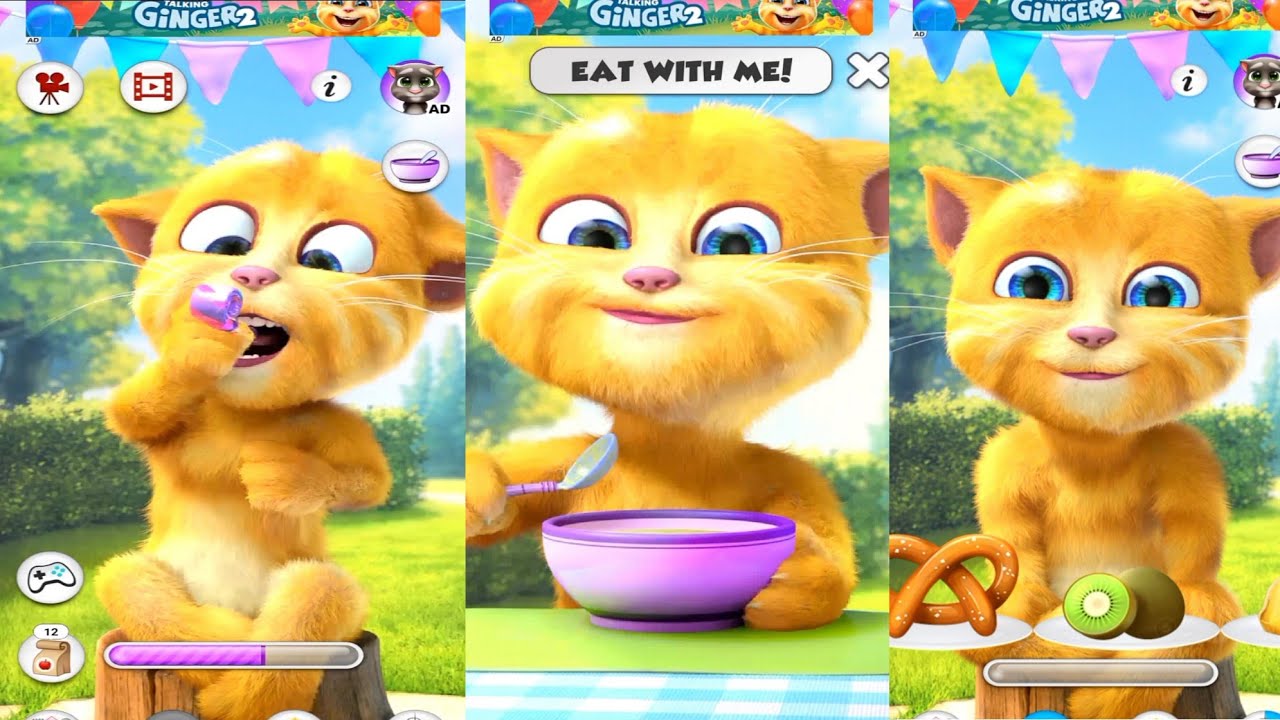 Ginger 2 Funny Video Ginger Talking Ginger Talking Tom