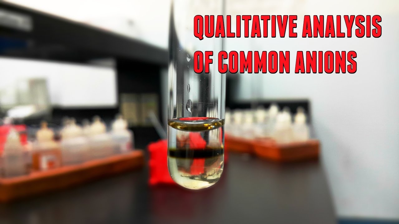 Qualitative Lab Experiment At Brenda Edmonds Blog