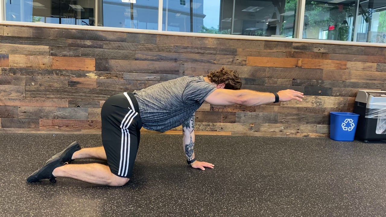 Quadruped Shoulder Flexion Youtube