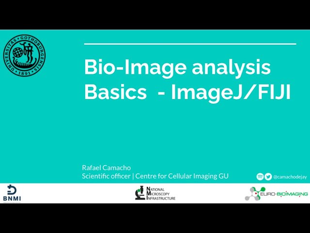 Imagej Fiji Infoupdate Org