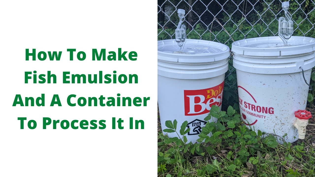How To Make Fish Emulsion And A Container To Process It In Youtube