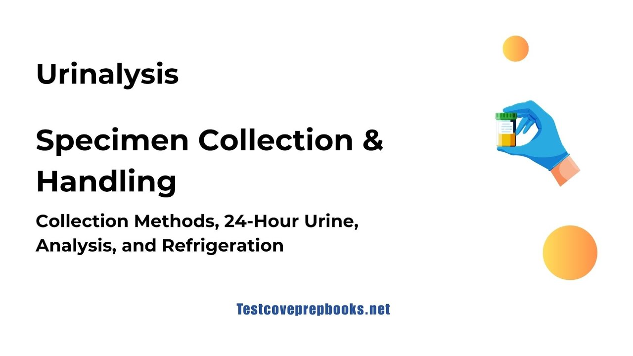 Specimen Collection And Handling Ascp Mls Prep Youtube