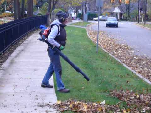 Blowing Leaves Youtube