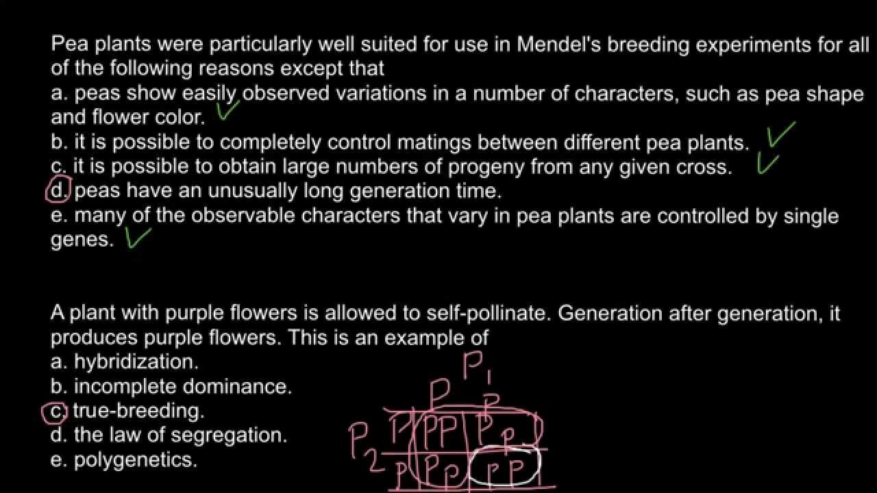 True Breeding Definition