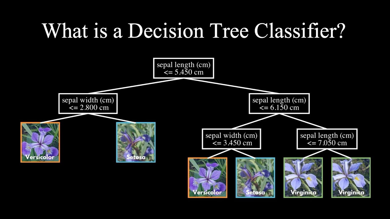 What Is A Decision Tree Classifier Youtube