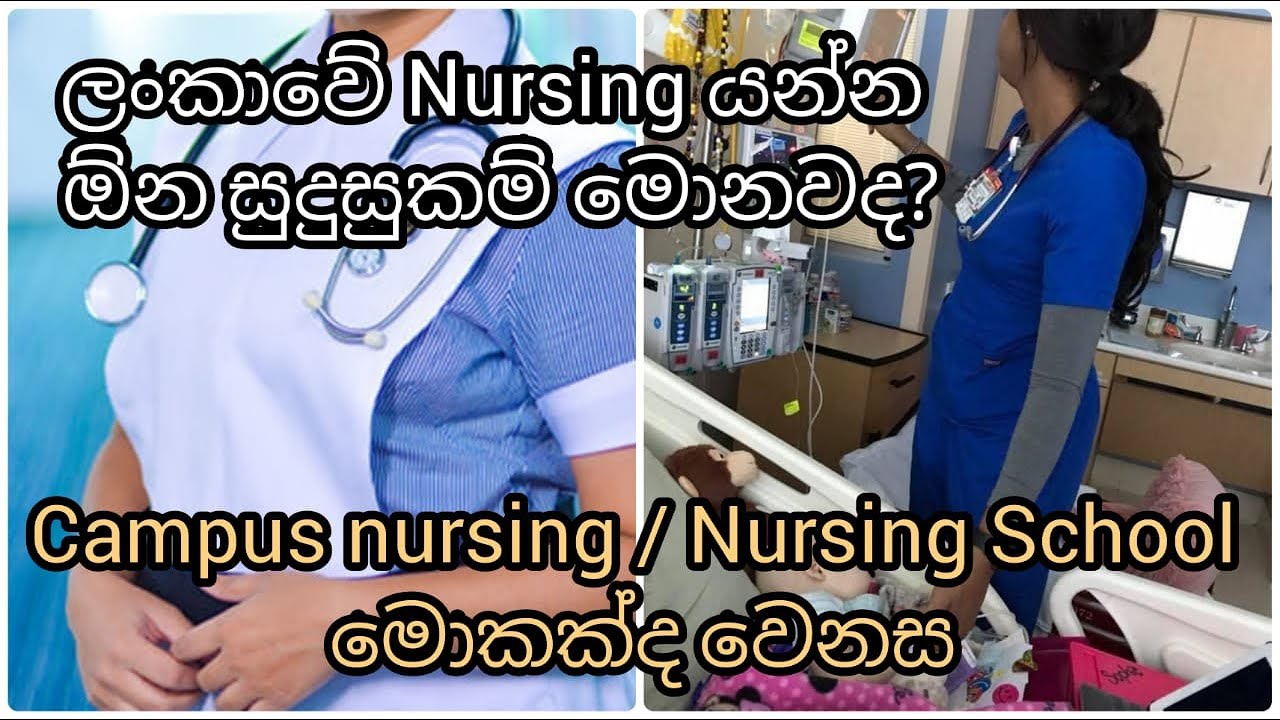 Diploma In Nursing Uni Life Sinhala Nursing Srilanka Youtube