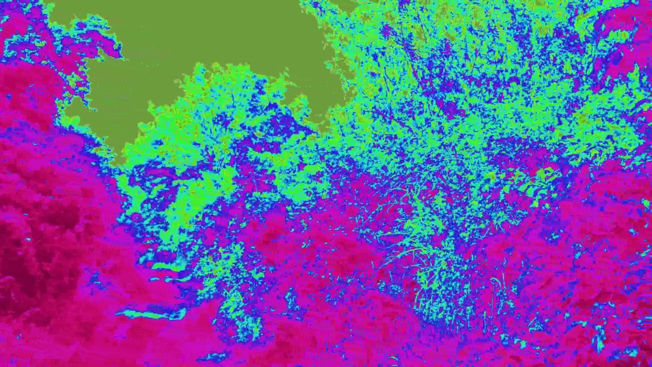 Youtube Editor Heatmap 8 Youtube
