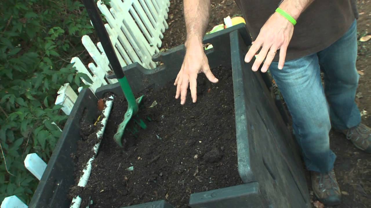 Backyard Compost Youtube