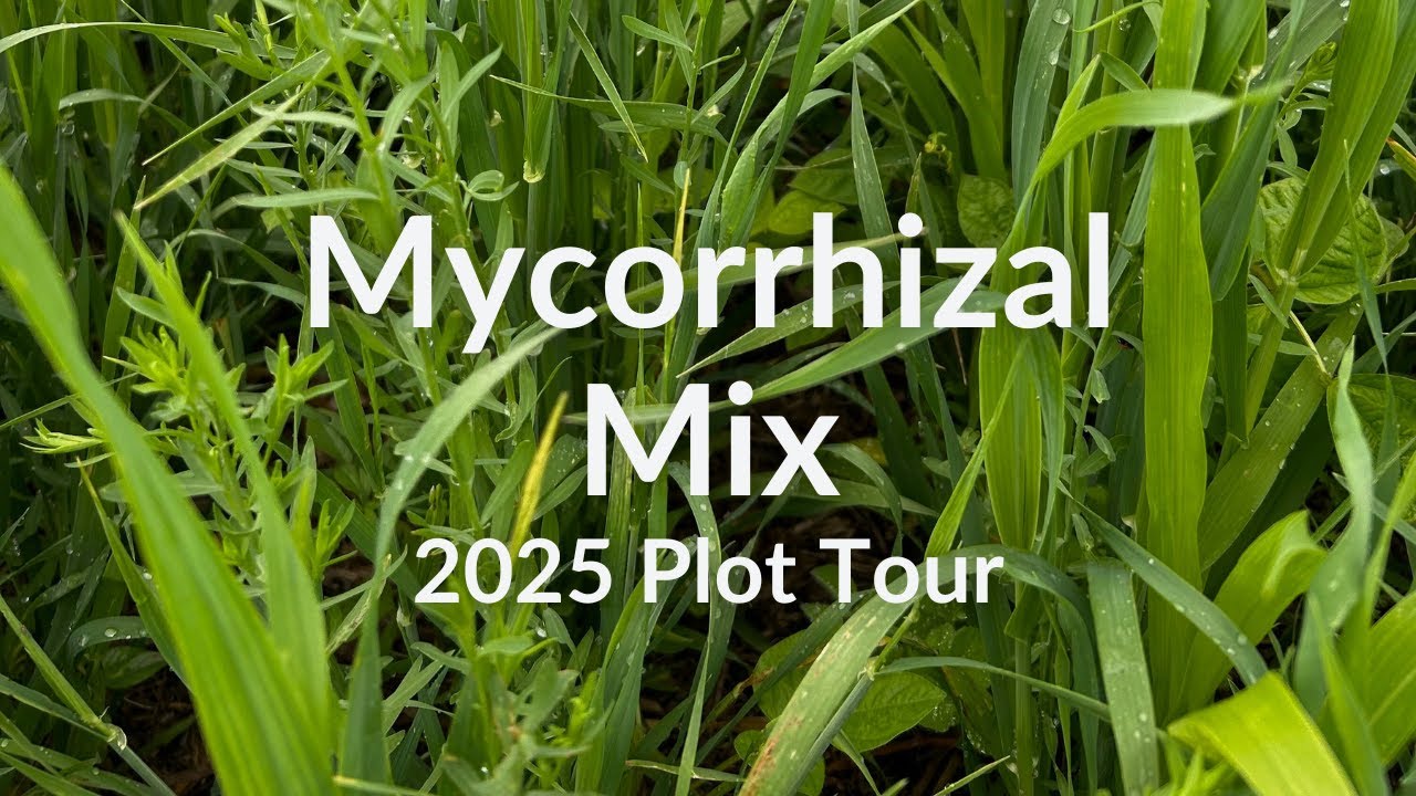 Mycorrhizal Mix 2025 Cover Crop Test Plot Tour Green Cover