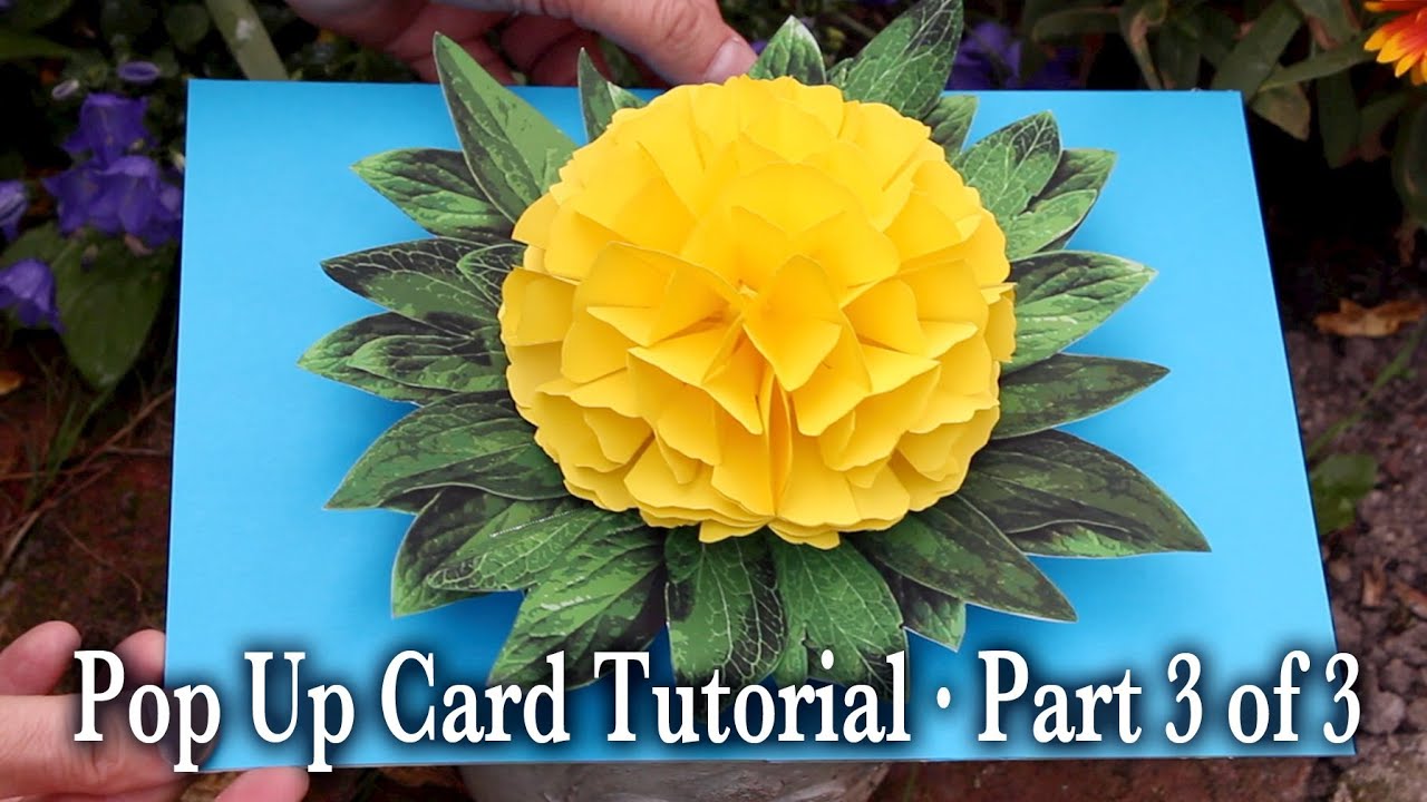 Flower Pop Up Card Template Pdf Best Flower Site