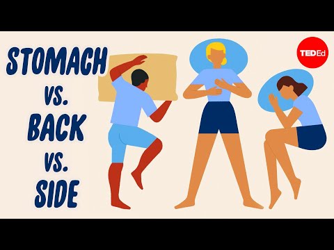 How Do Your Kidneys Work Emma Bryce Ted Ed