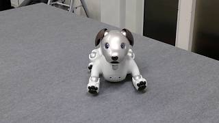 Aibo Robot Dog Barking Aibo Aiborobot Robotdog Airobot Petbot Petrobot ...