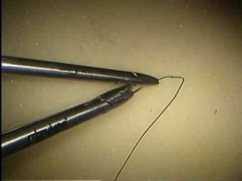 Laparoscopic Suturing Part I Youtube